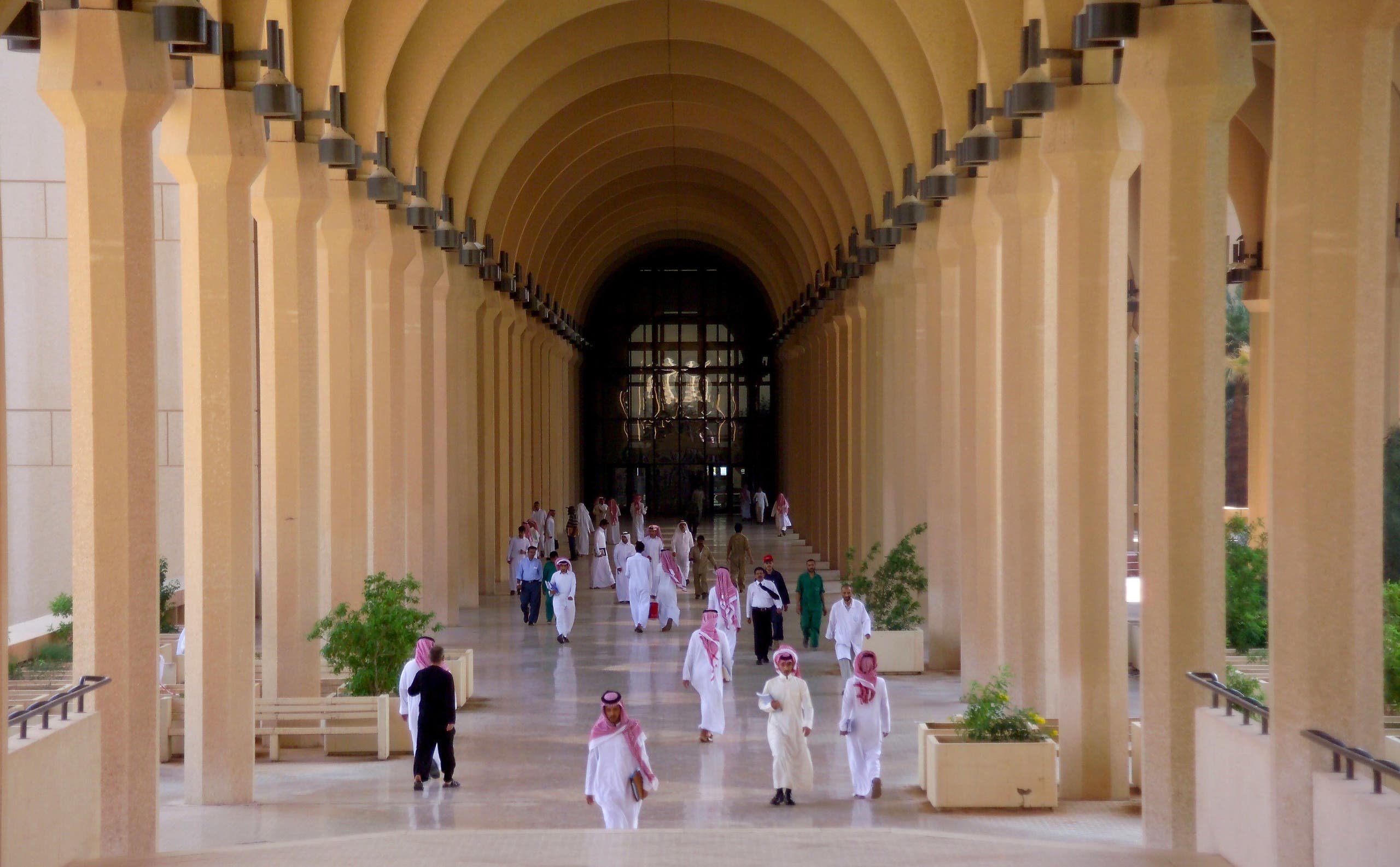 UAE ranks 15 in UN’s Global Knowledge Index | Al Arabiya English UAE ranks 15 in UN’s Global Knowledge Index | Al Arabiya English
